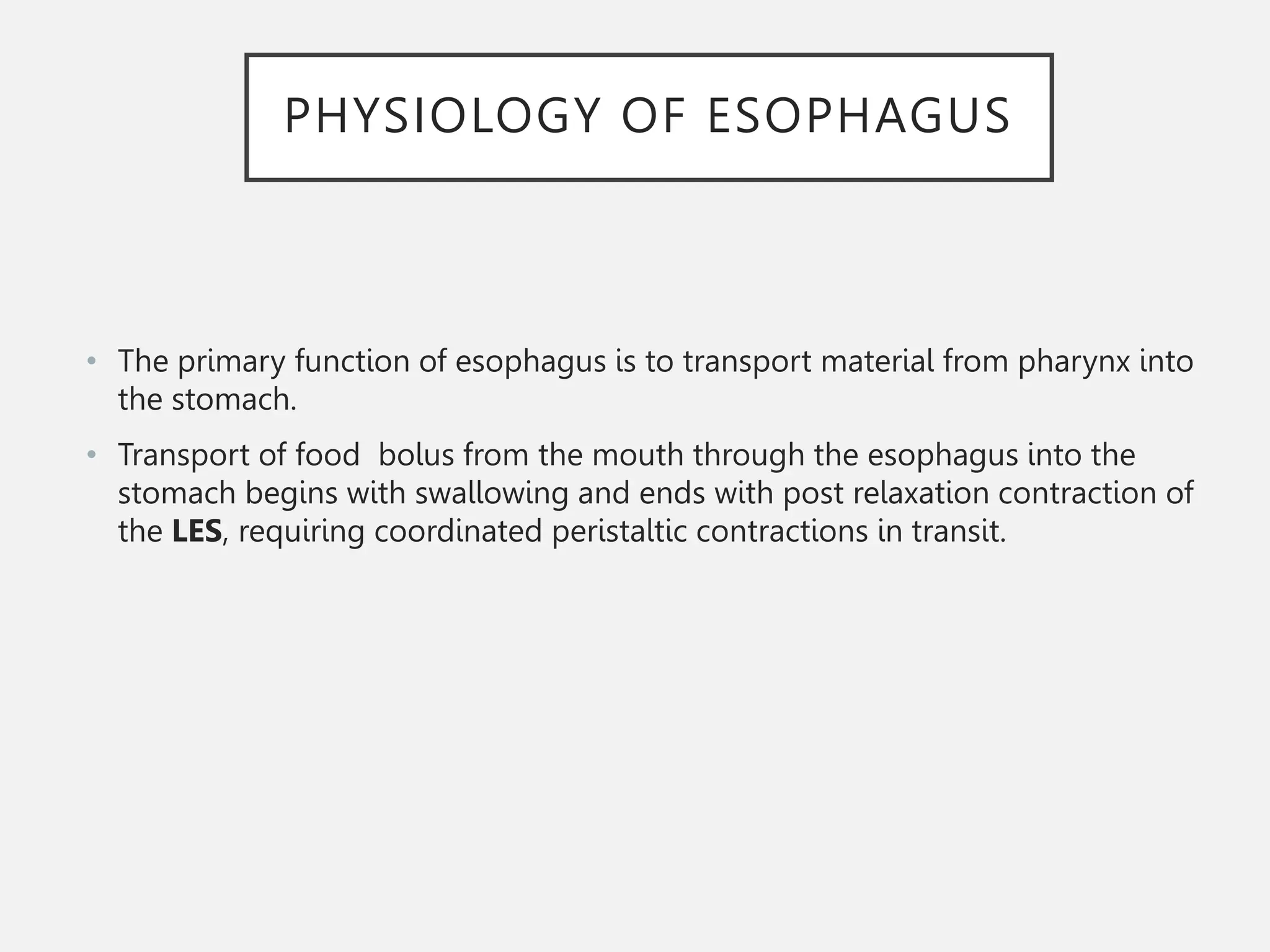 Oesophagus Anatomy And Physiology....... | PPTX