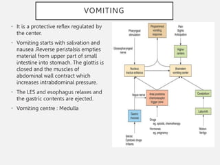 Oesophagus Anatomy And Physiology....... | PPTX