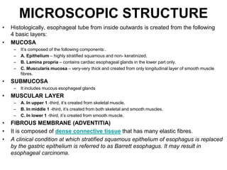 Anatomy of esophagus & Applied Aspects.pptx
