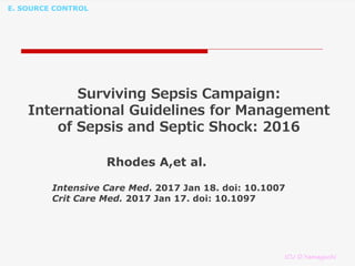 E source control | PDF