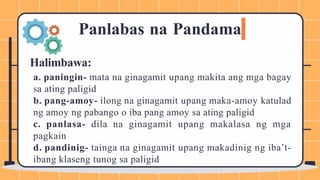 esp10q1-m1-221123065632-b515b5b7.pptx