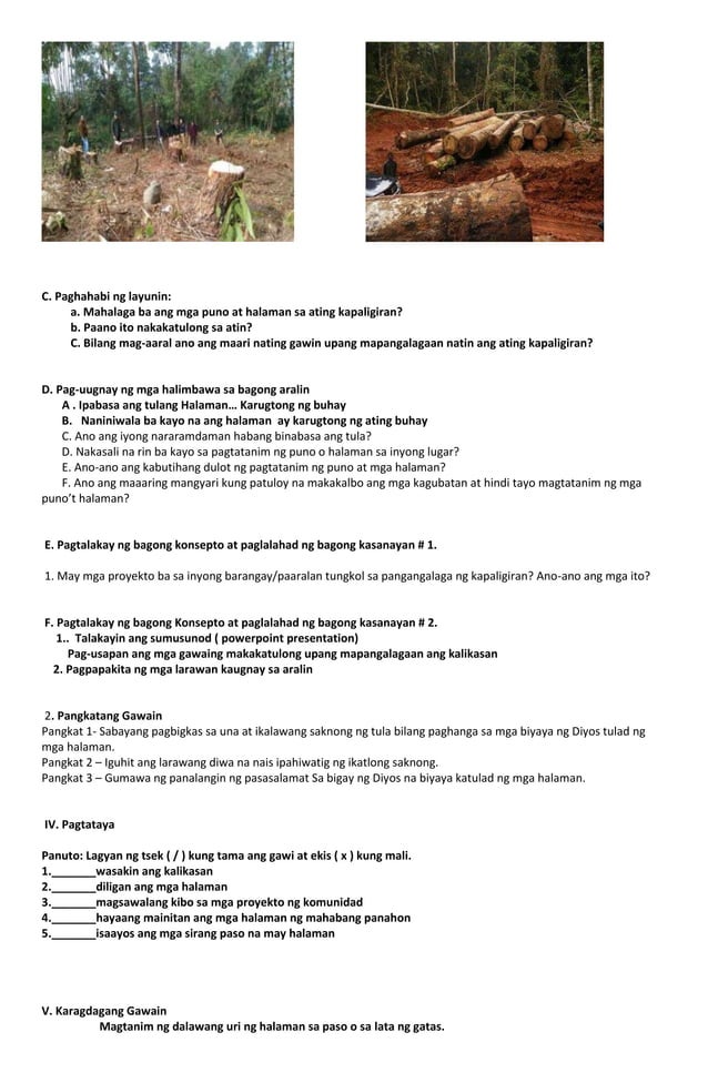 ESP 4-DLP-3rd COT new.doc