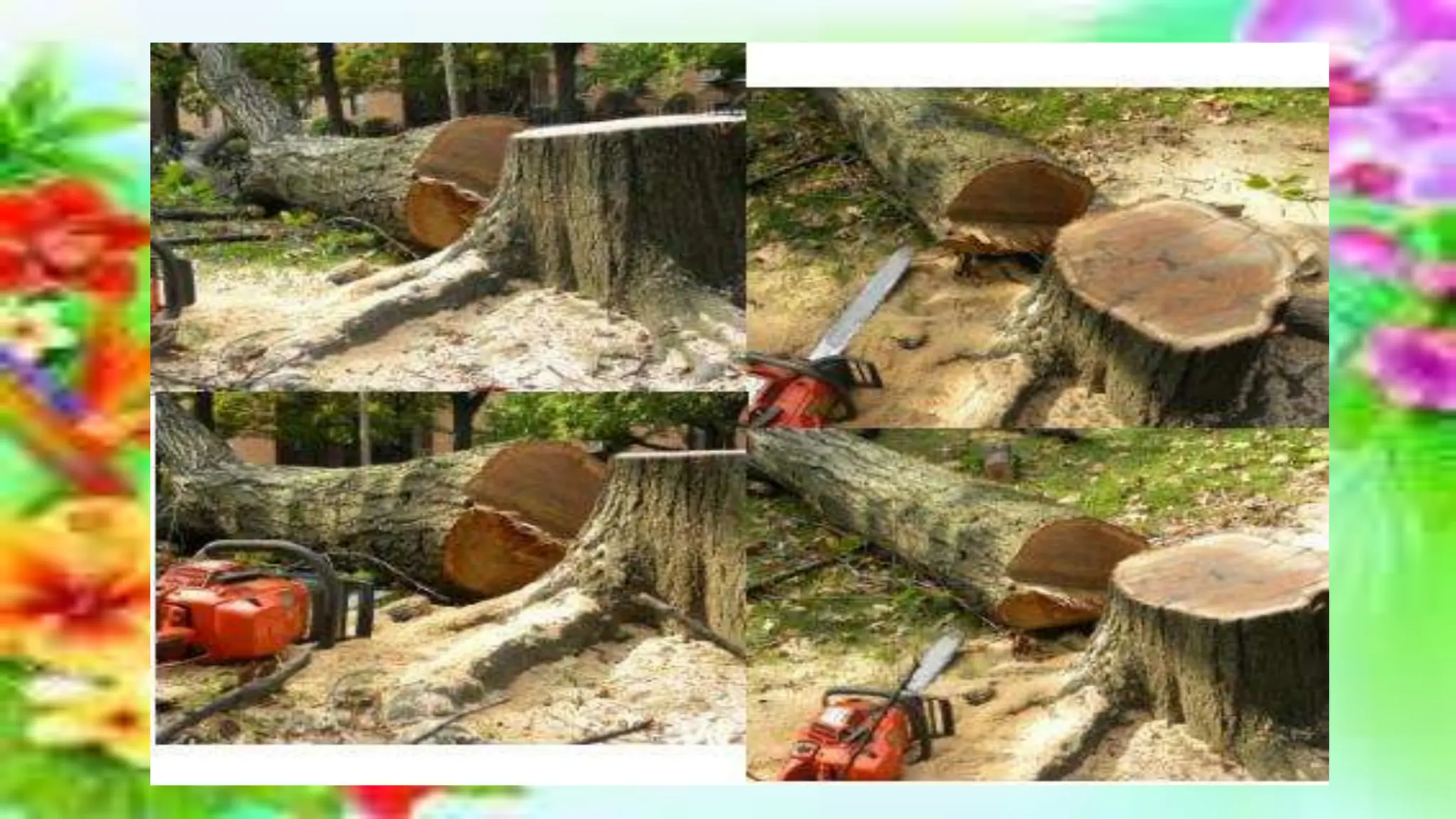 ESP 5 PPT Q3 W5 Day 1-5 - Nakapagpapakita Ng Magagandang Halimbawa Ng ...