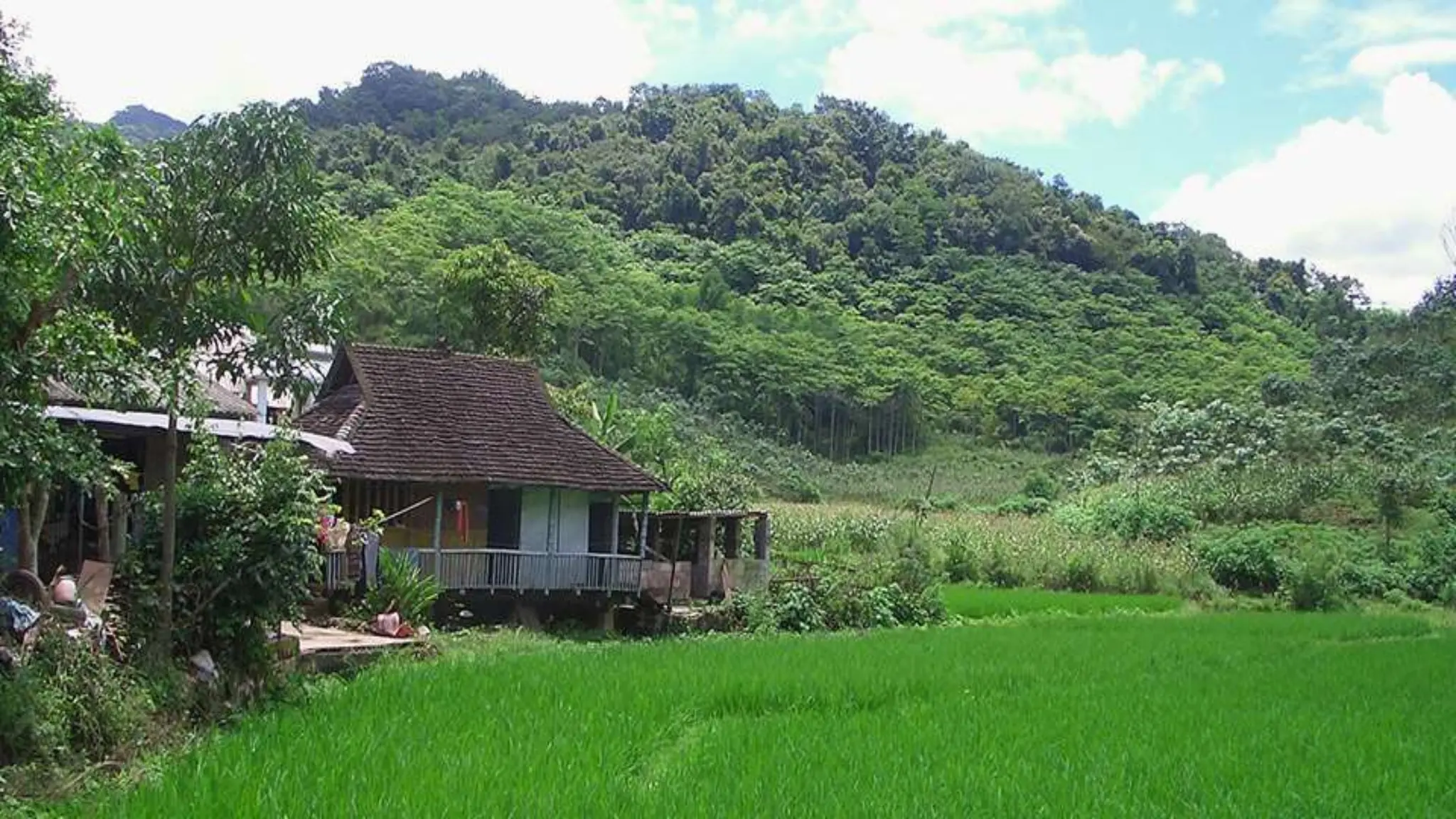 ESP 5 PPT Q3 W5 Day 1-5 - Nakapagpapakita Ng Magagandang Halimbawa Ng Pagiging Responsableng ...