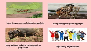 Edukasyon sa Pagpapakatao 9 - Modyul 7 Q | PPTX