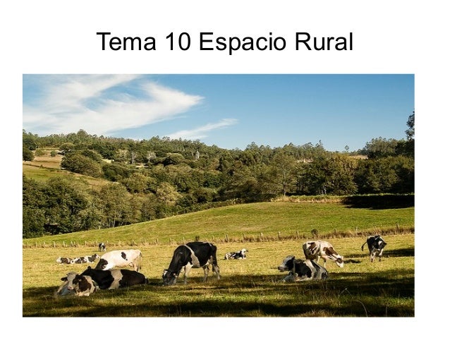 Espacio rural - Imagui