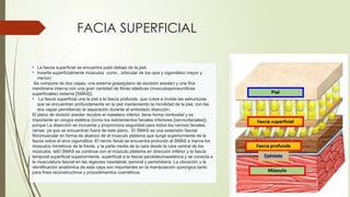 ESPACIOS APONEUROTICOS anatomia cabeza y cuello | PPTX