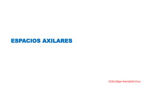 ESPACIOS AXILARES ,todos los músculos que los conforman | PPTX