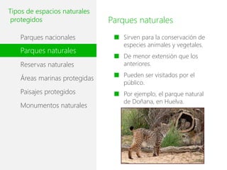 Espacios naturales protegidos | PPTX