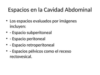 espacios retroperitoneales presentacion ppt | PPTX