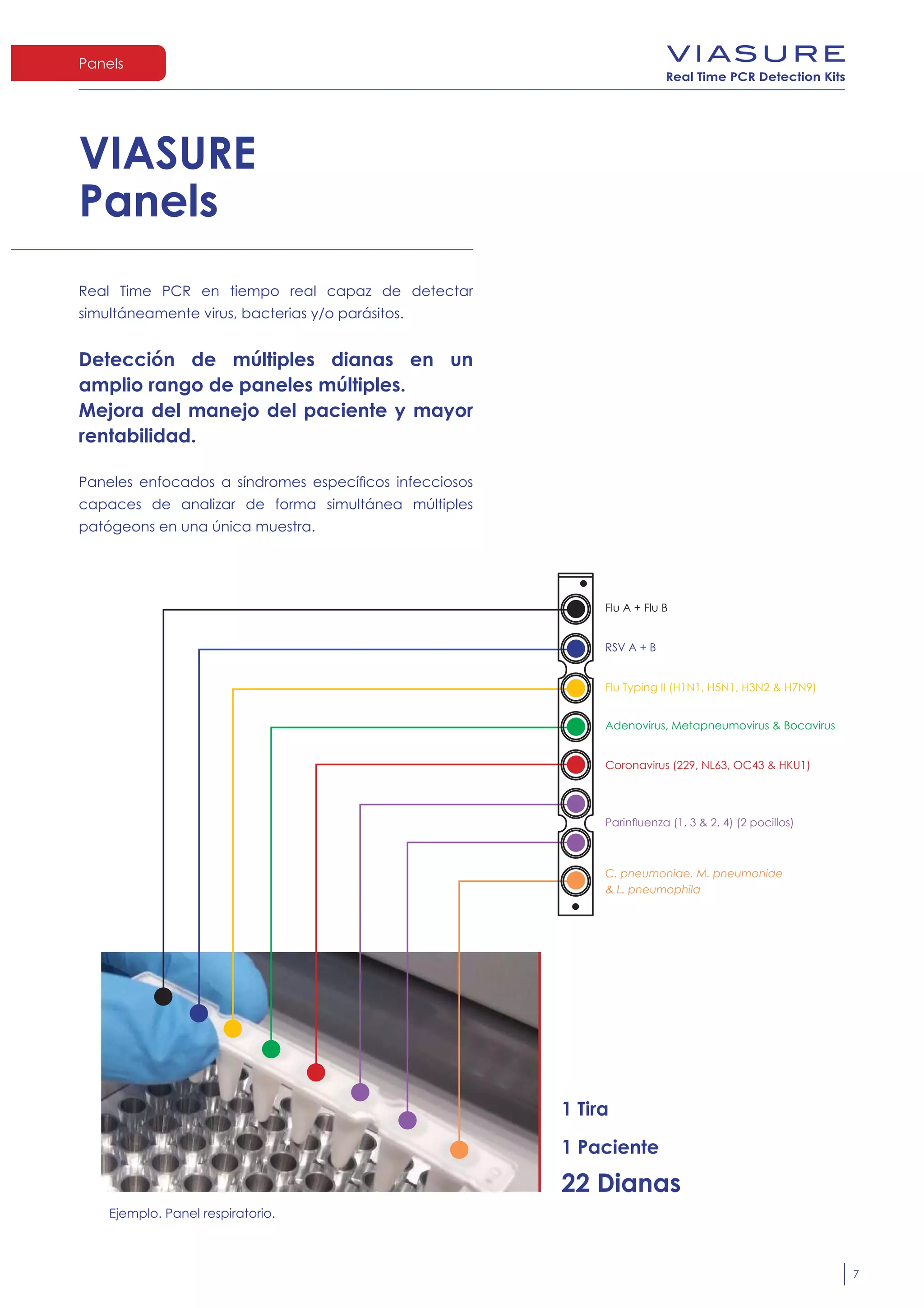 VIASURE® Real Time PCR Detection Kit | PDF