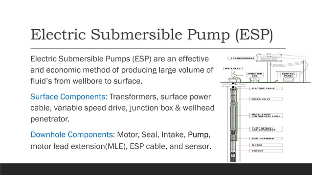 ESP Centrifugal Pumps Introduction Presentation.pdf