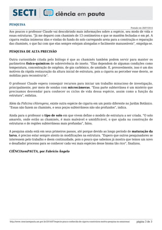Espécie pouco conhecida de cigarra construtora motiva pesquisa no ...