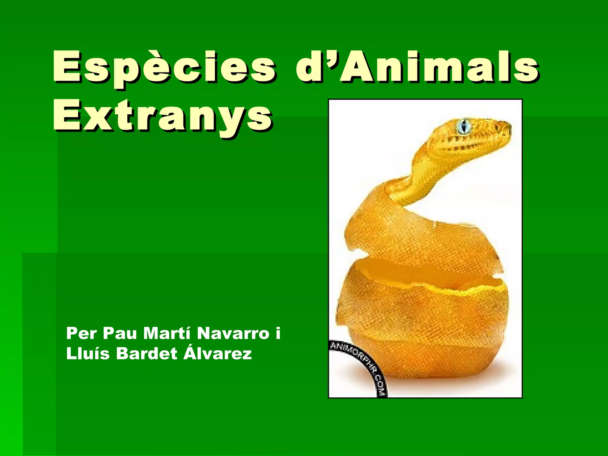 EspèCies D’Animals Extranys | PPT