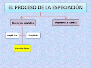 Especiación parasimpátrica por Verónica Tigse | PPT