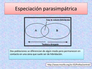 Especiación parasimpátrica por Verónica Tigse | PPTX