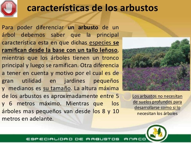 Especialidad arbustos