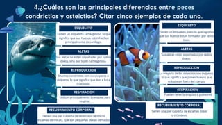 Especialidad de peces club de conquistadores | PPTX