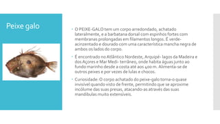 Especies dos mares de portugal | PPTX