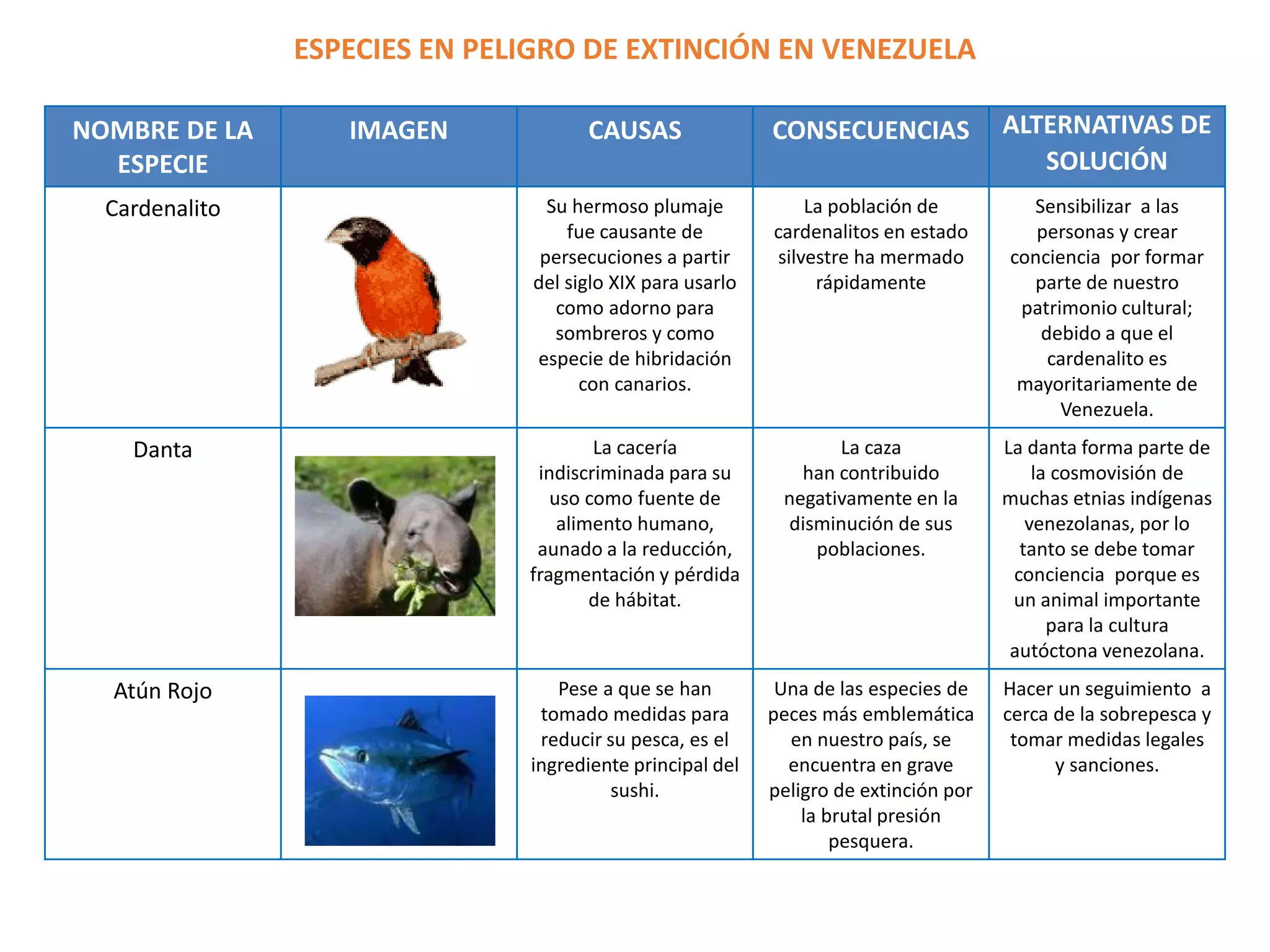 Animales En Peligro De Extincion En Venezuela