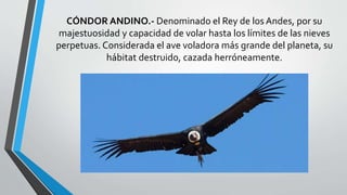 Especies en peligro de extincion | PPTX