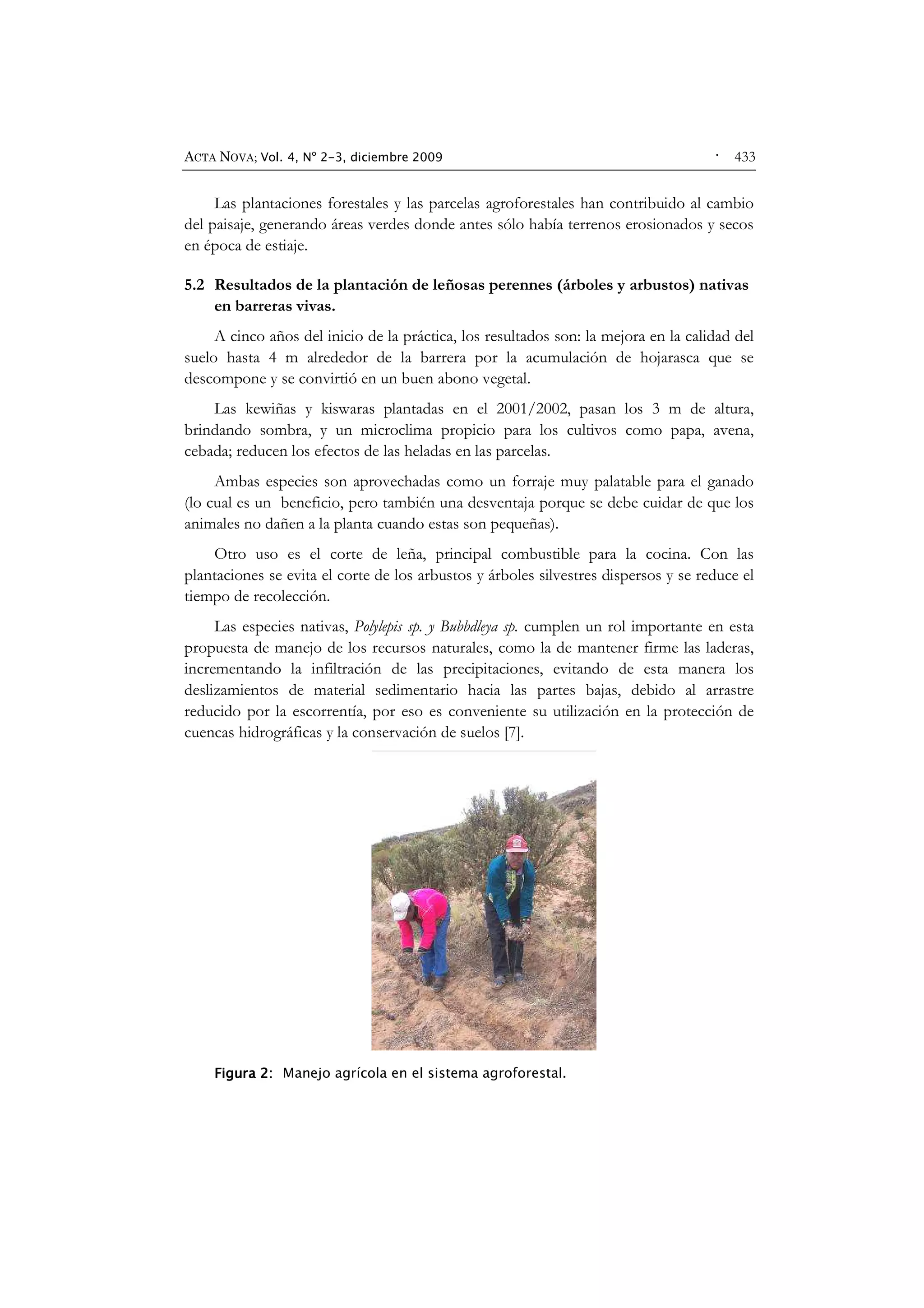 Especies nativas kiswara kewiña | PDF