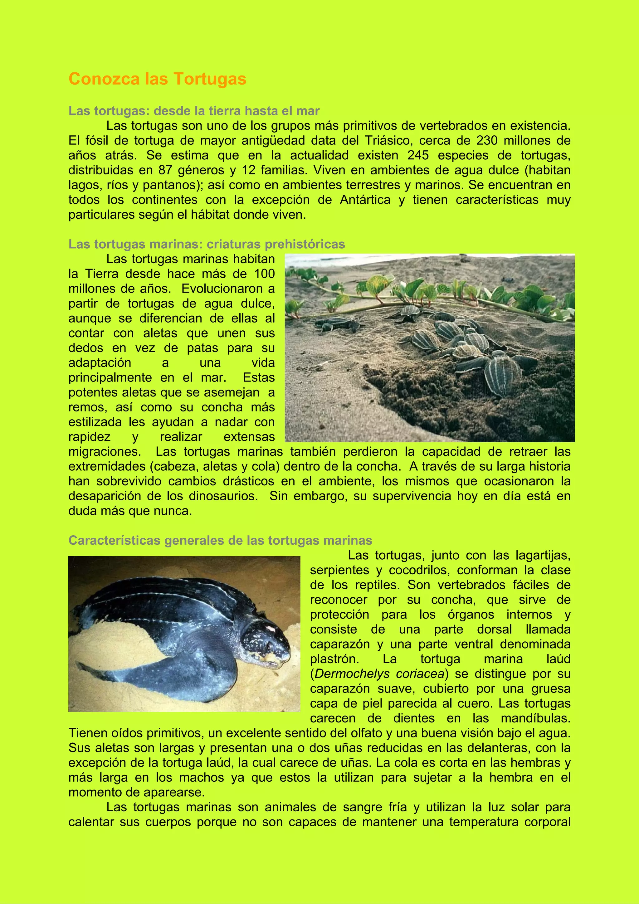 Especies tortugas marinas del mundo | PDF