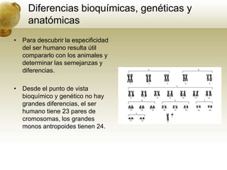 Especificidad del ser humano | PPTX