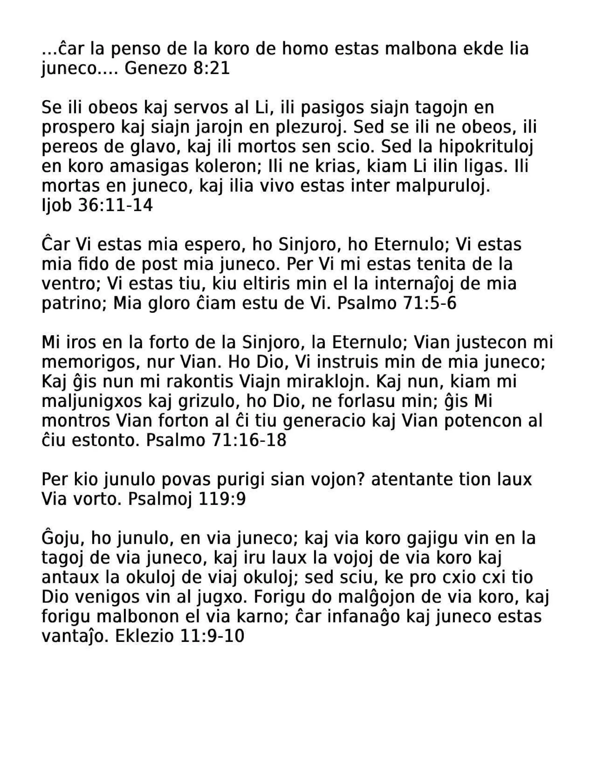 Esperanto - Youth Christian Tract.pdf