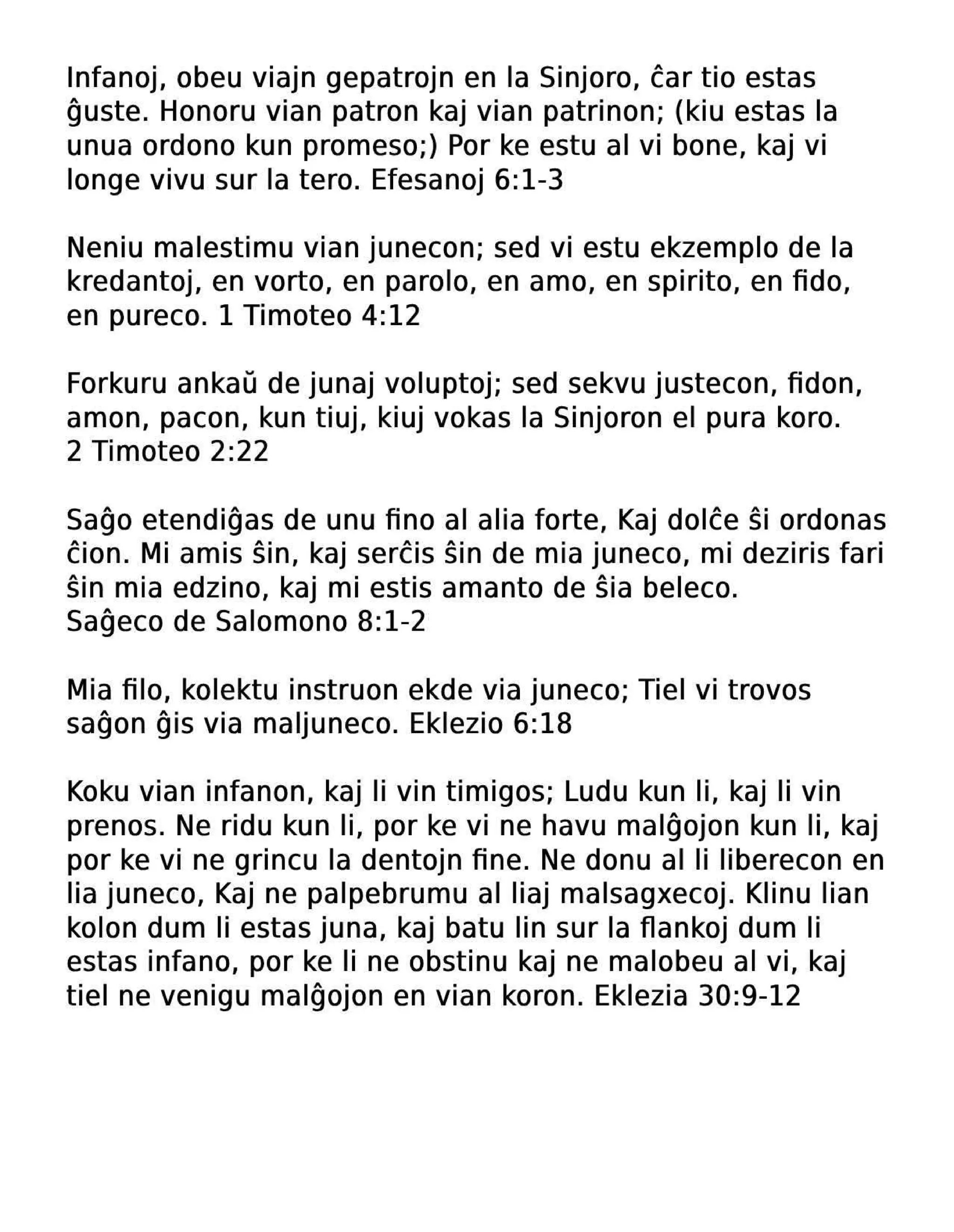 Esperanto - Youth Christian Tract.pdf