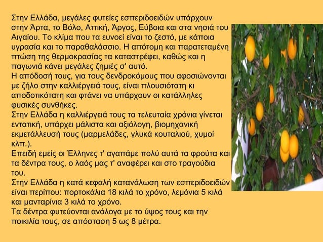 Esperidoeidi portokali-xasakidis nikos | PPT