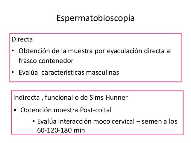 Espermatobioscopia