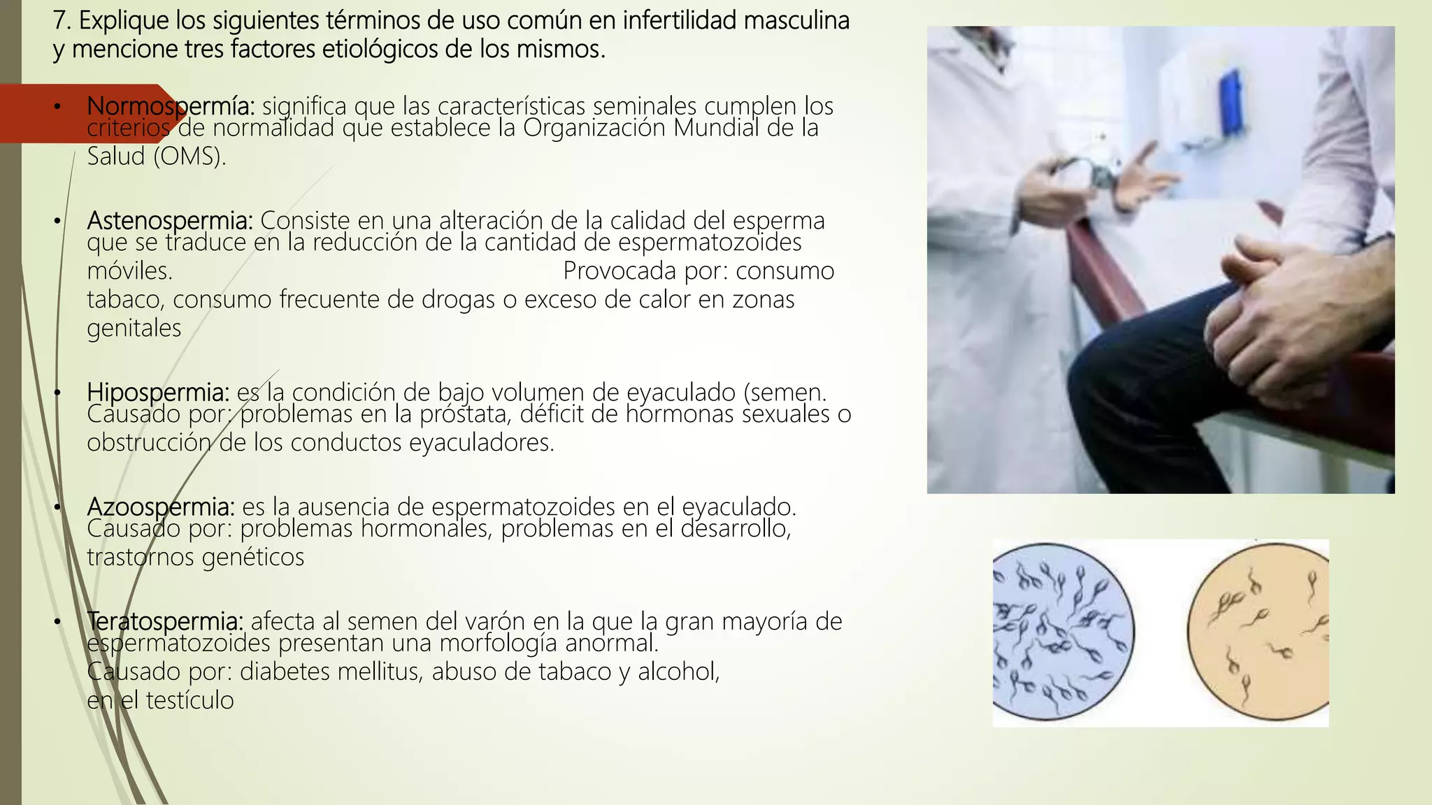 Espermatobioscopia | PPTX