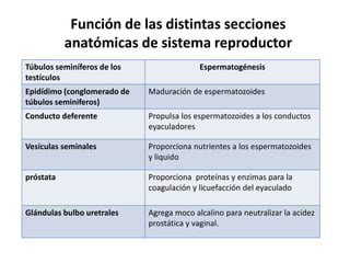 Espermatobioscopia: Analisis funcional del semen | PPTX
