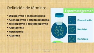 ESPERMATOGRAMA.pptx