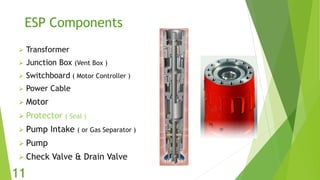 Esp installation | PDF