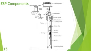Esp installation | PDF