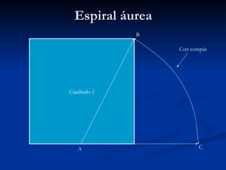 Espiral aurea | PPS