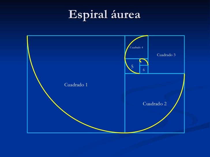 Espiral aurea