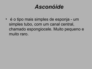 Esponjas | PPT