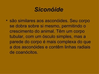 Esponjas | PPT