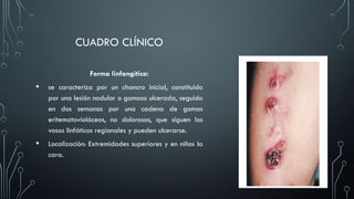 Esporotricosis en pacientes pediátricos y adultos | PPTX