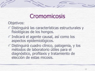 Esporotricosis Y Cromomicosis | PPT