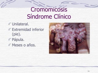 Esporotricosis Y Cromomicosis | PPT