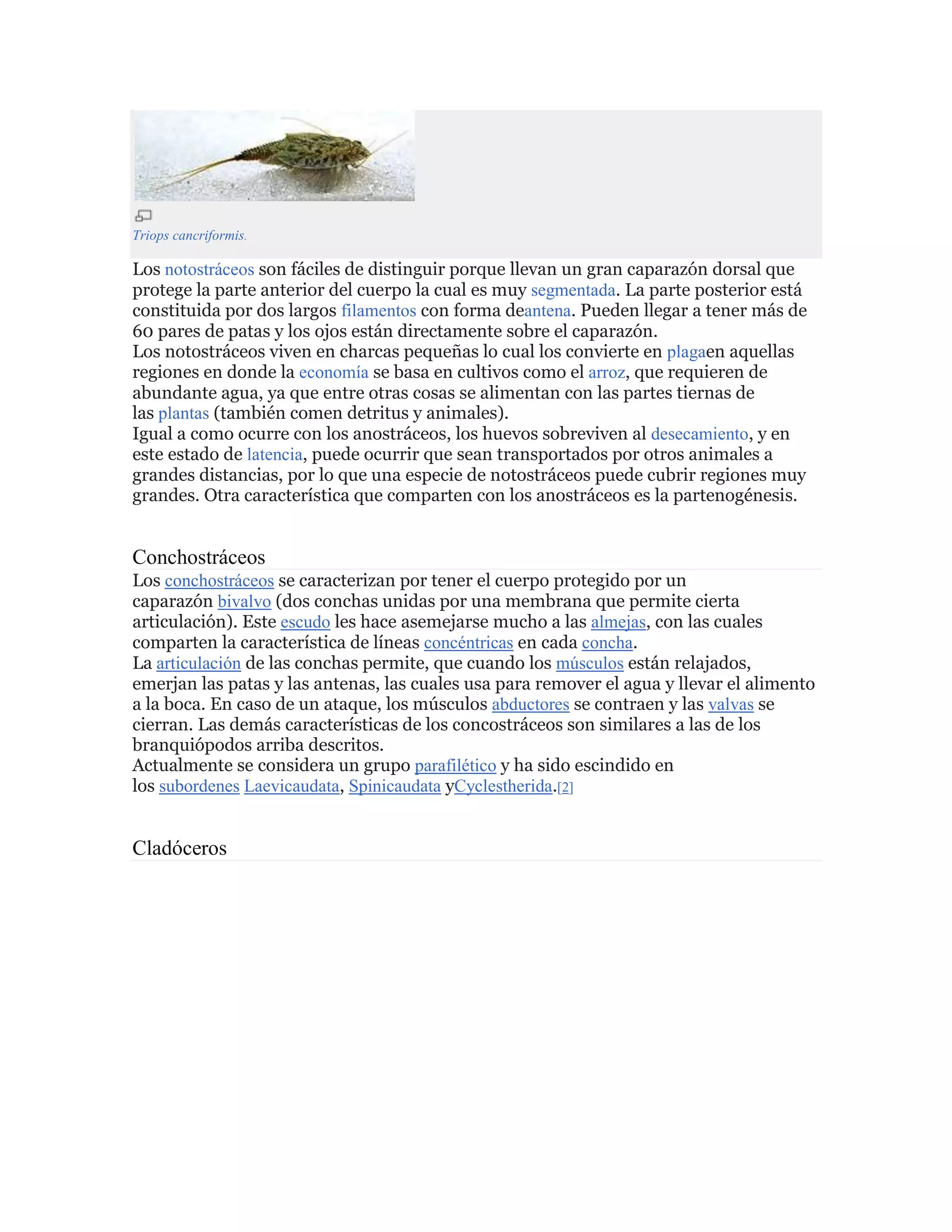 clases del subphyllum crustacea | DOCX