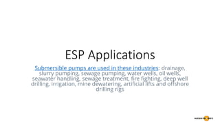ESP Overview .pdf