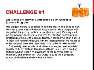 Executive Sponsor Program ROI Best Practices | PPTX