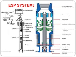 ESP_PRESENTATION_pptx.pptx