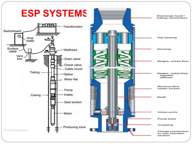 ESP_PRESENTATION_pptx.pptx