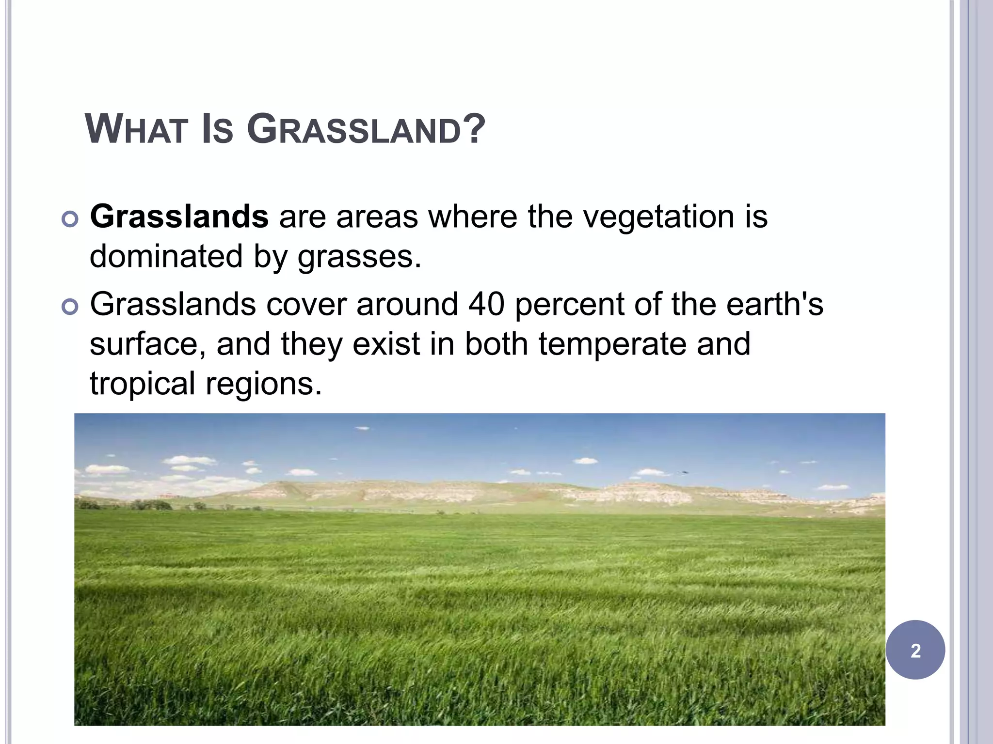 Grassland Ecosystem | PPTX